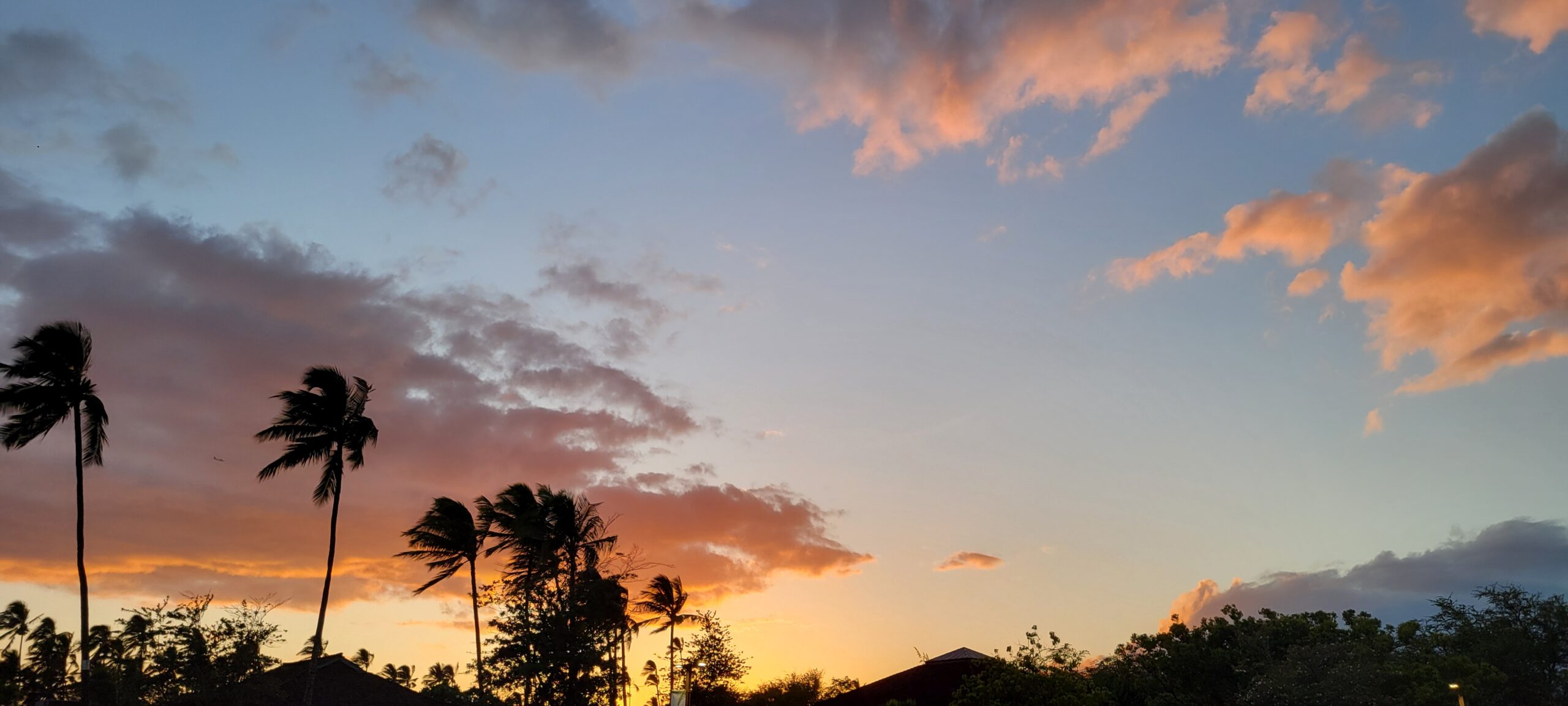 Photo of the Day: South Side Sunset | News, Sports, Jobs - Maui News